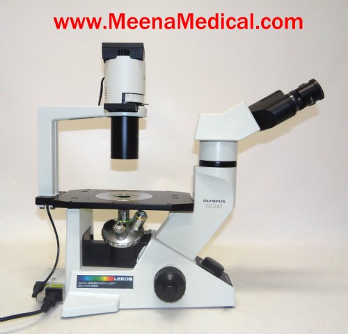 Olympus CKX-41 Inverted Microscope